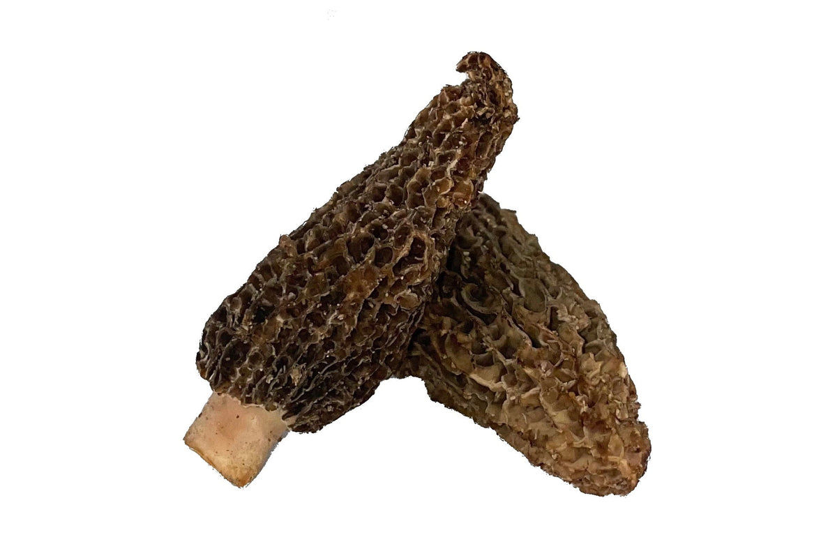 Morel Mushrooms – Notting Hill Fish + Meat