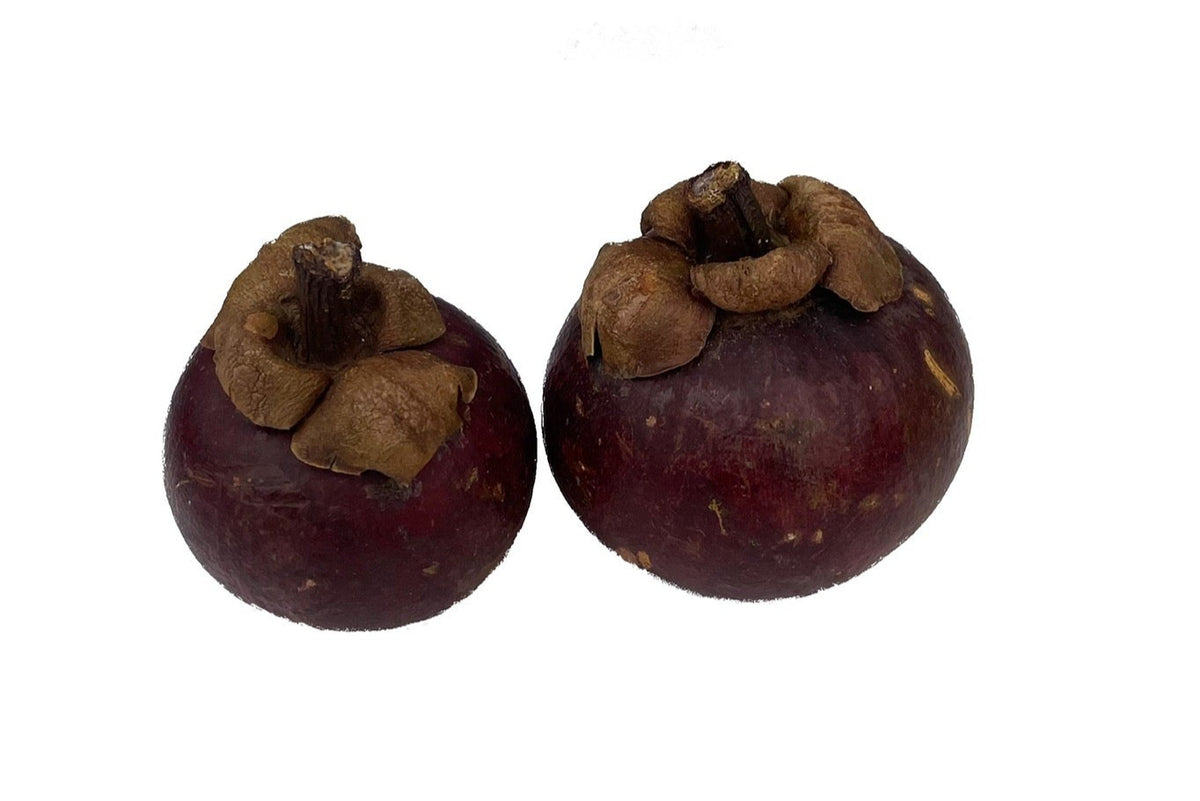 Mangosteen – Notting Hill Fish + Meat