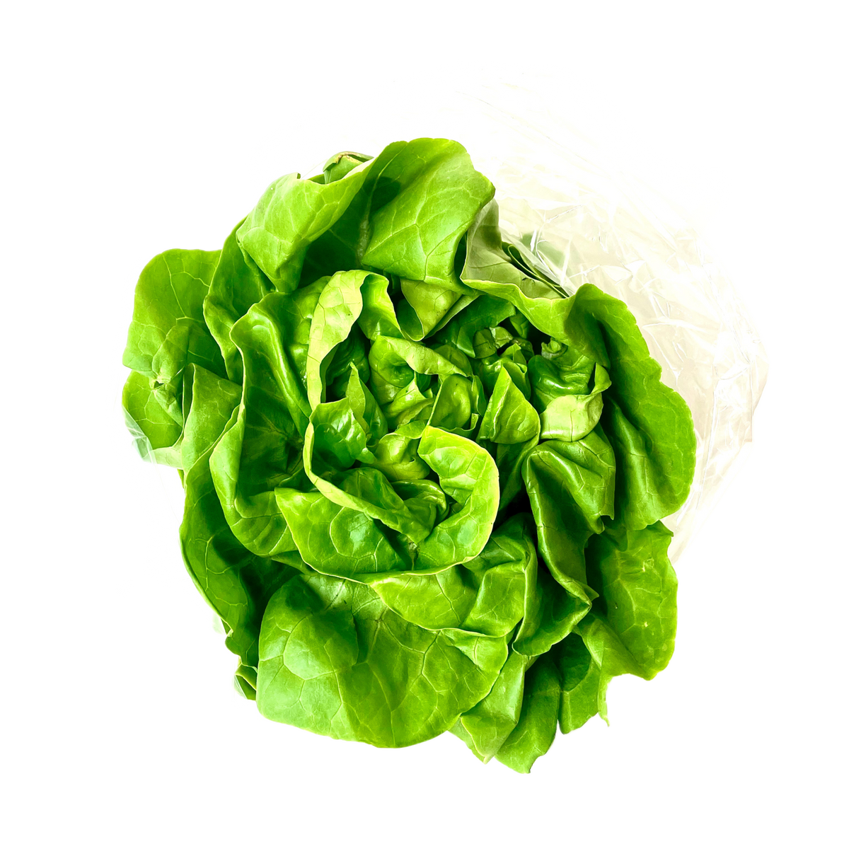 Small Round Lettuce – Notting Hill Fish + Meat