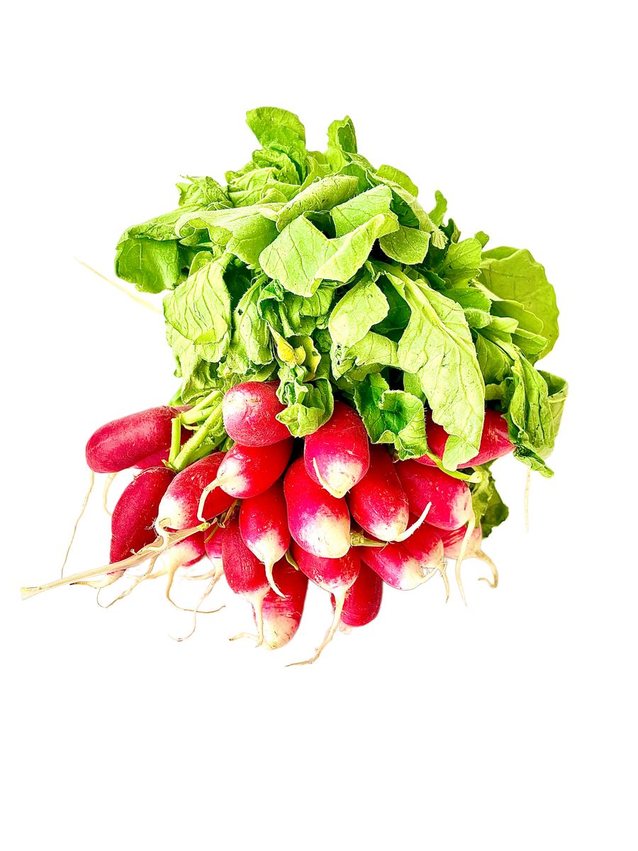 Breakfast Radish Bunch – Notting Hill Fish + Meat