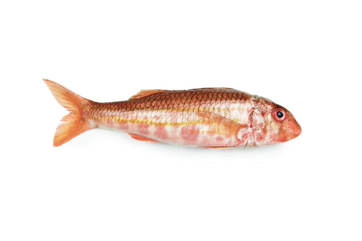 Whole Red Mullet - 200-300g – Notting Hill Fish + Meat