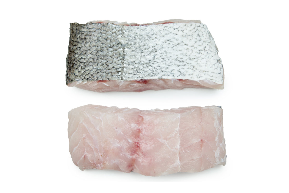 Wild Hake Fillet – Notting Hill Fish + Meat